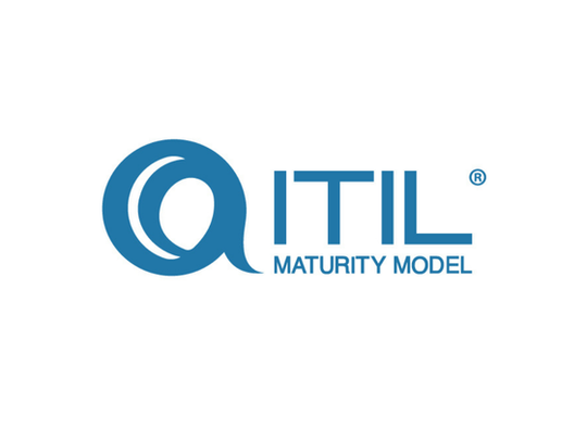 ITIL® Maturity Assessment